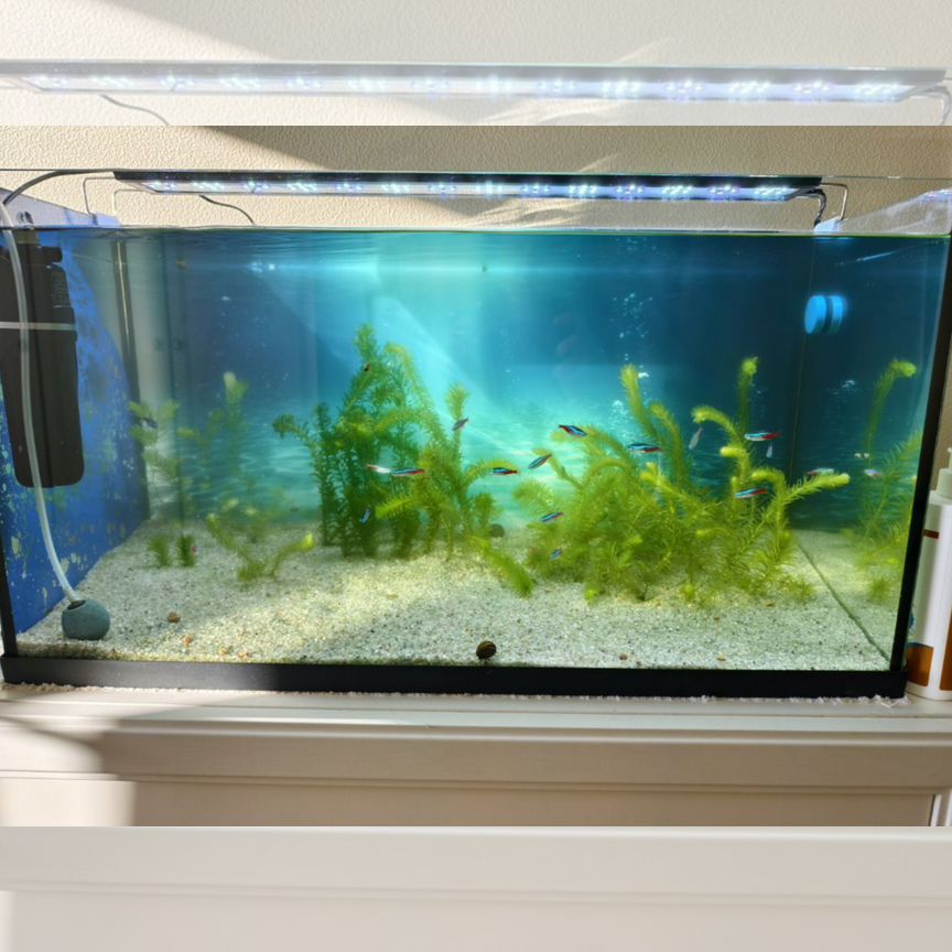 Аквариумная лампа