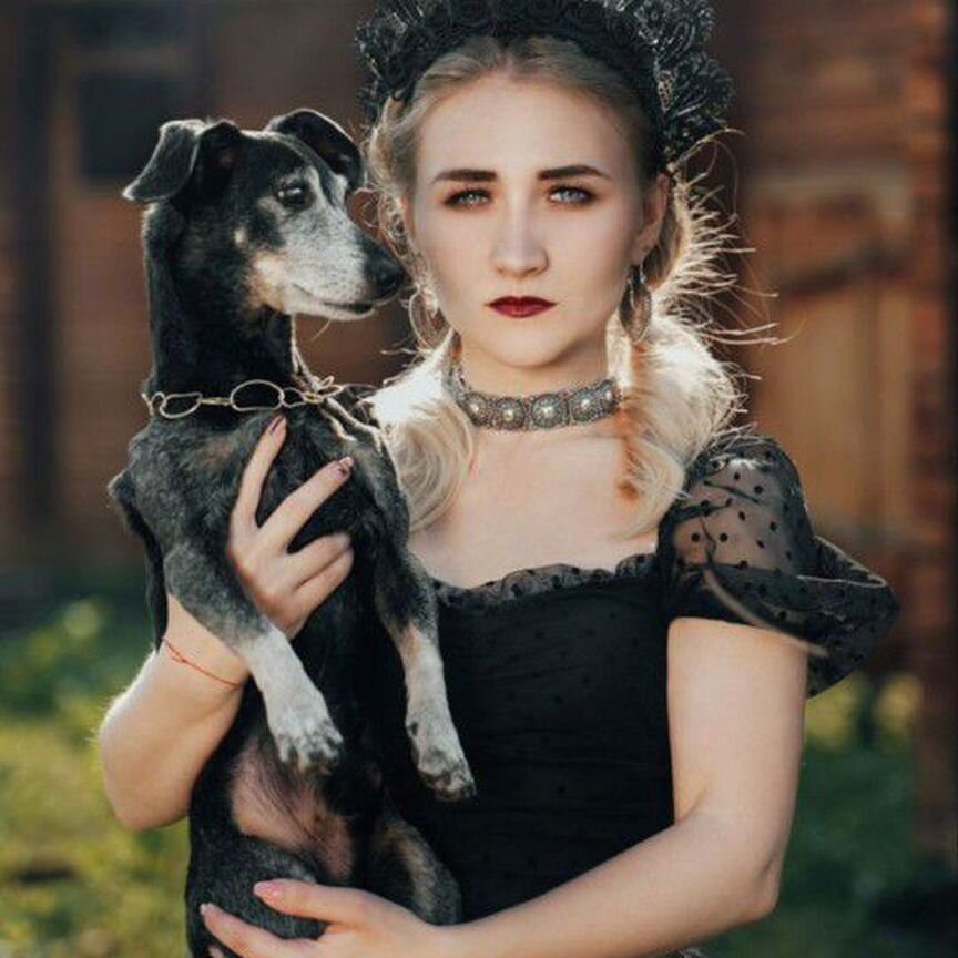 Собачка потерялась