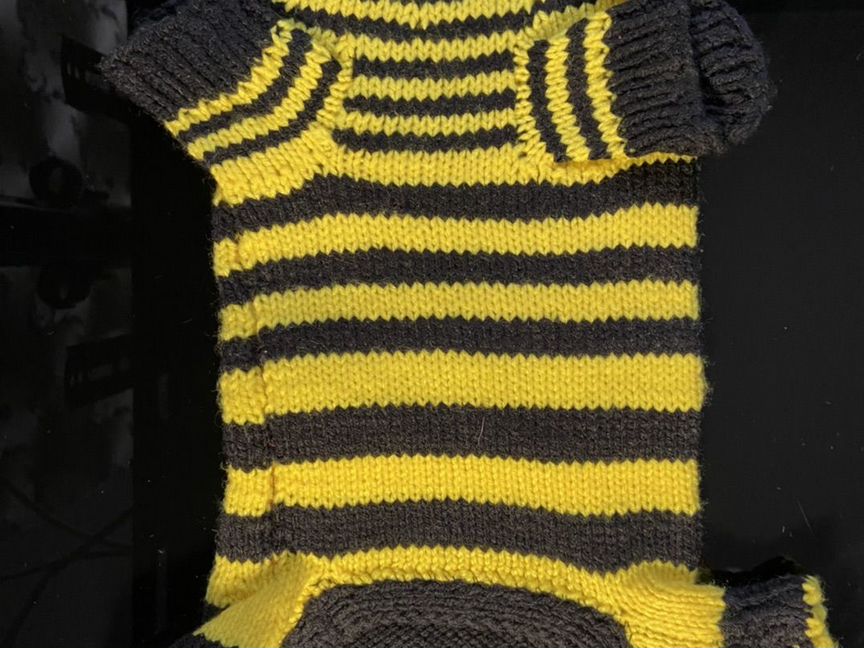 Одежда для маленьких собак