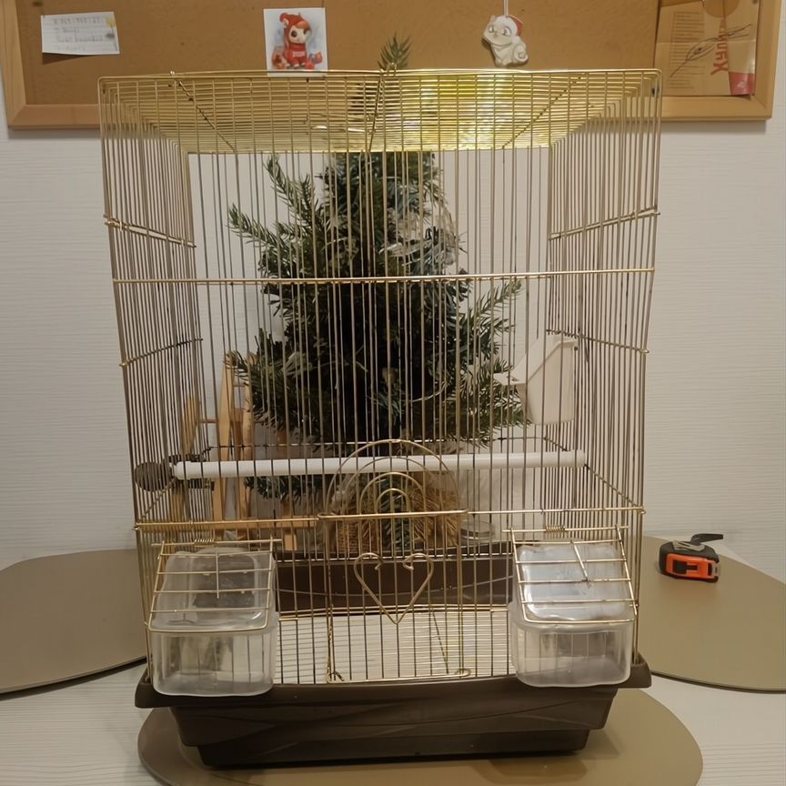 Клетка для птиц бу   аксессуары