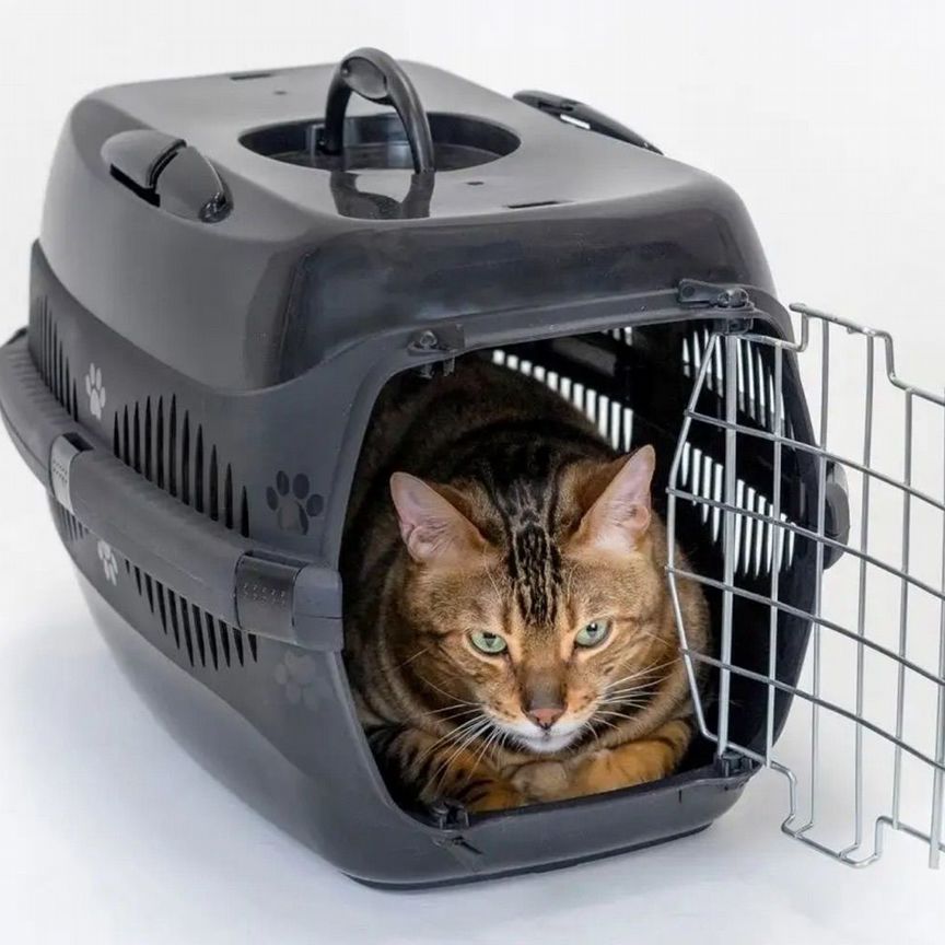 Переноска для кошек и собак