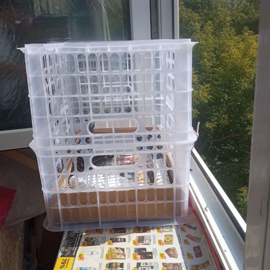 Две Купалки для птиц