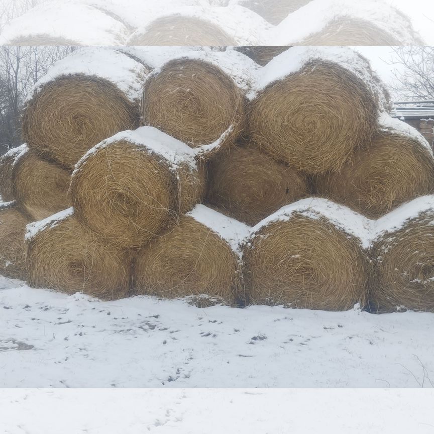 Сено солома