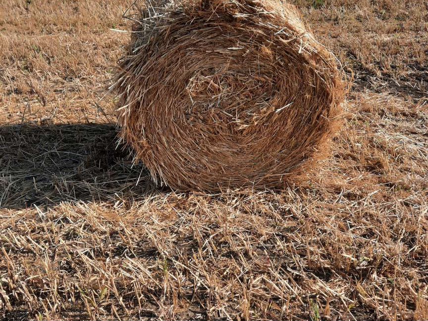 Солом в рулонах