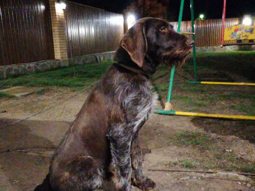 Вязка дратхар