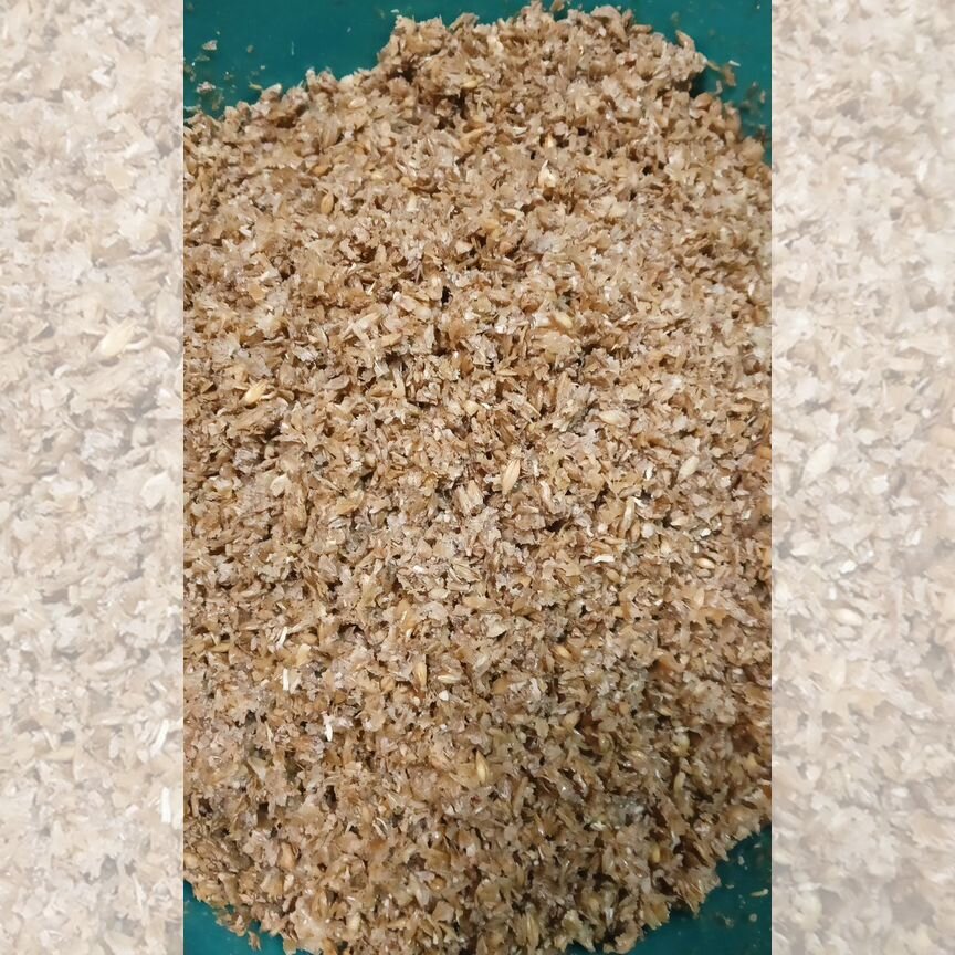 Зерно на корм