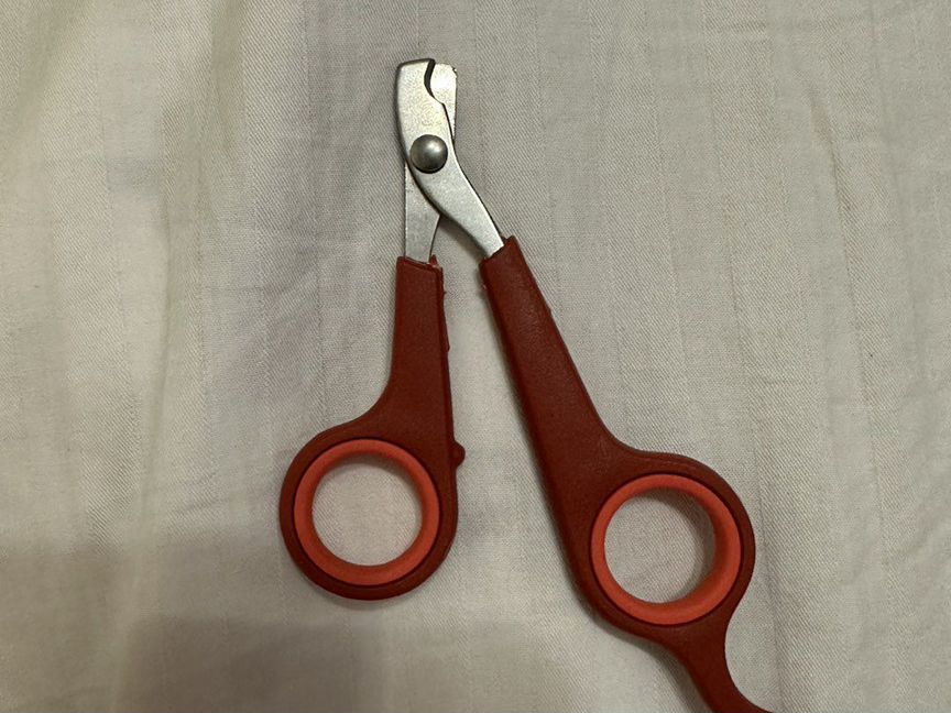 Когтерезка для собак