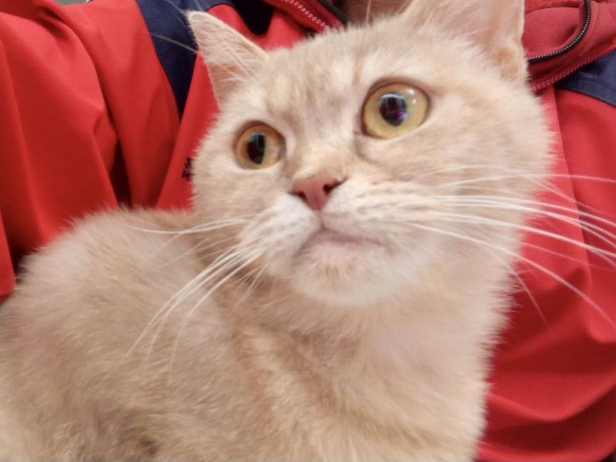 Спасем вместе