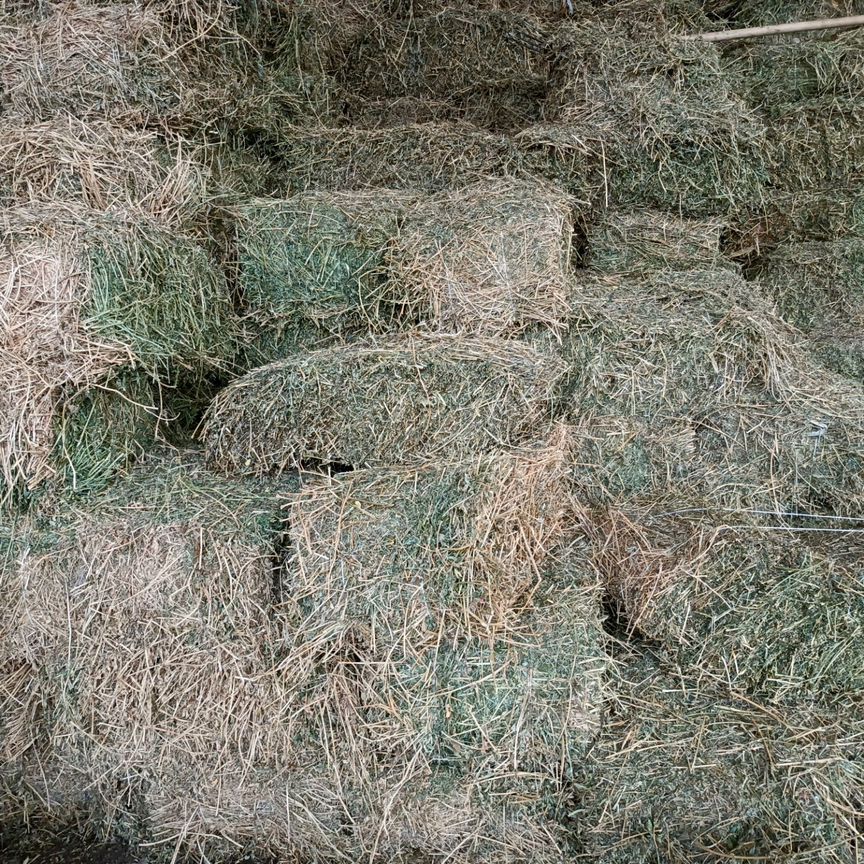 Сено и солома в тюках