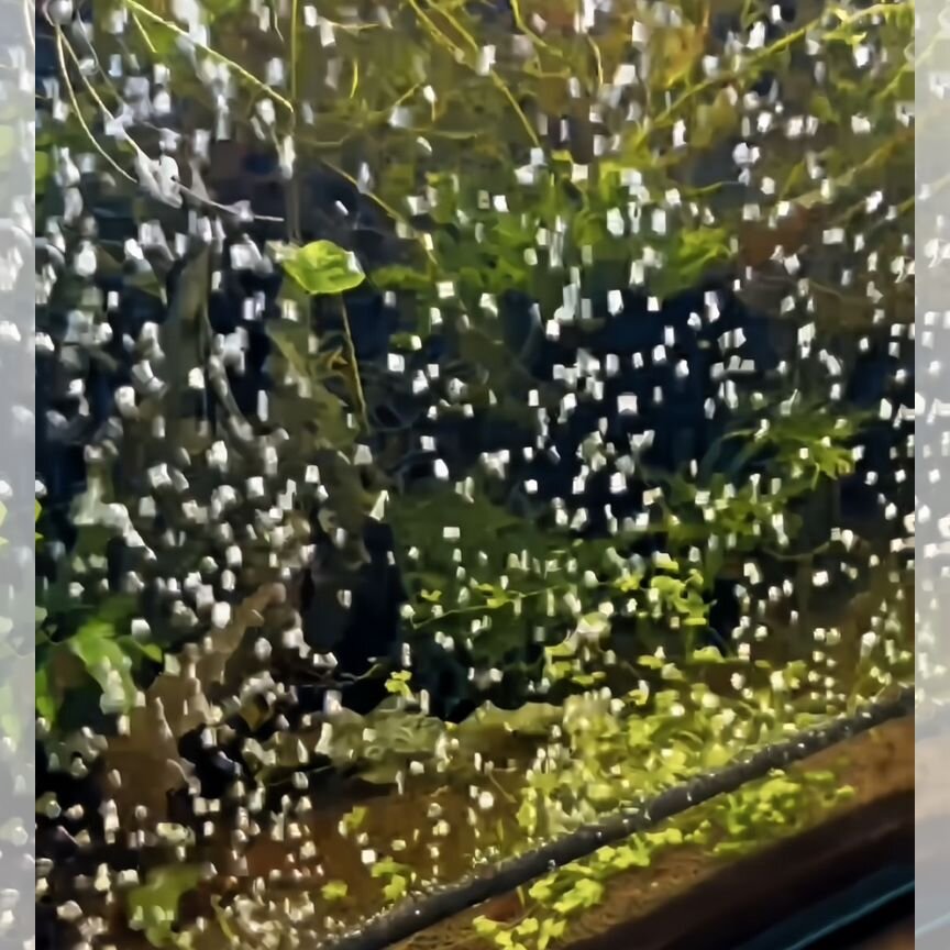 Распылитель/аэратор для аквариума