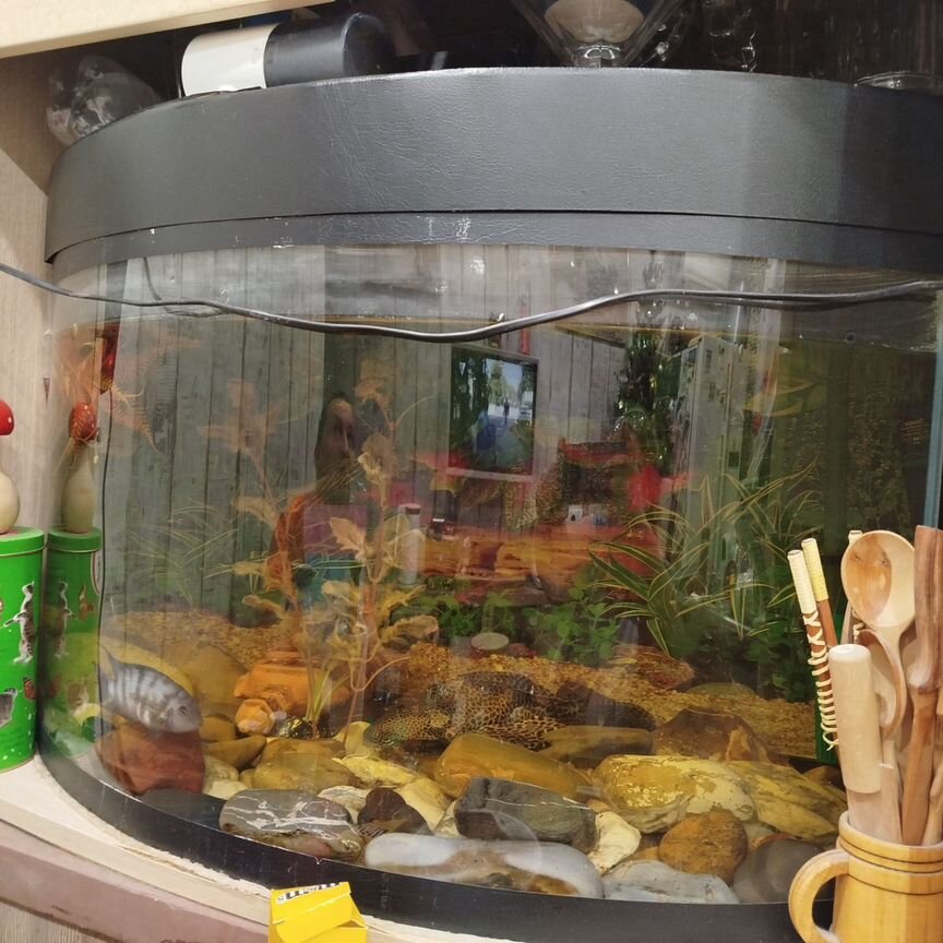 Аквариум на 150 литров   фильтр Jebo