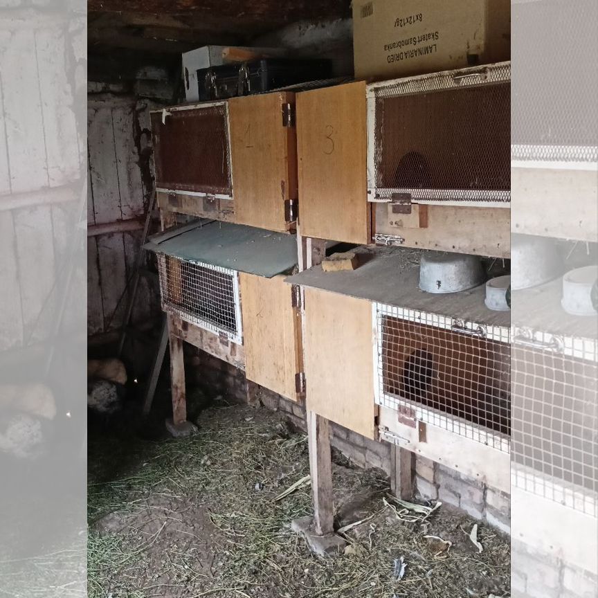 Продам домики для кроликов