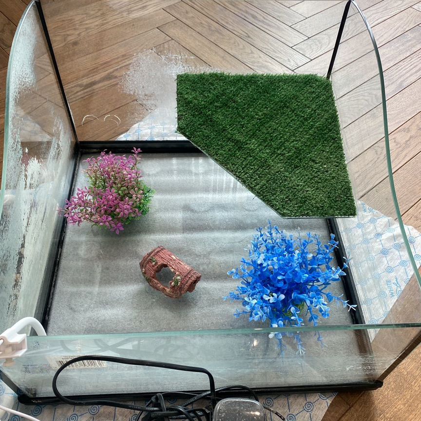 Аквариум для черепашки