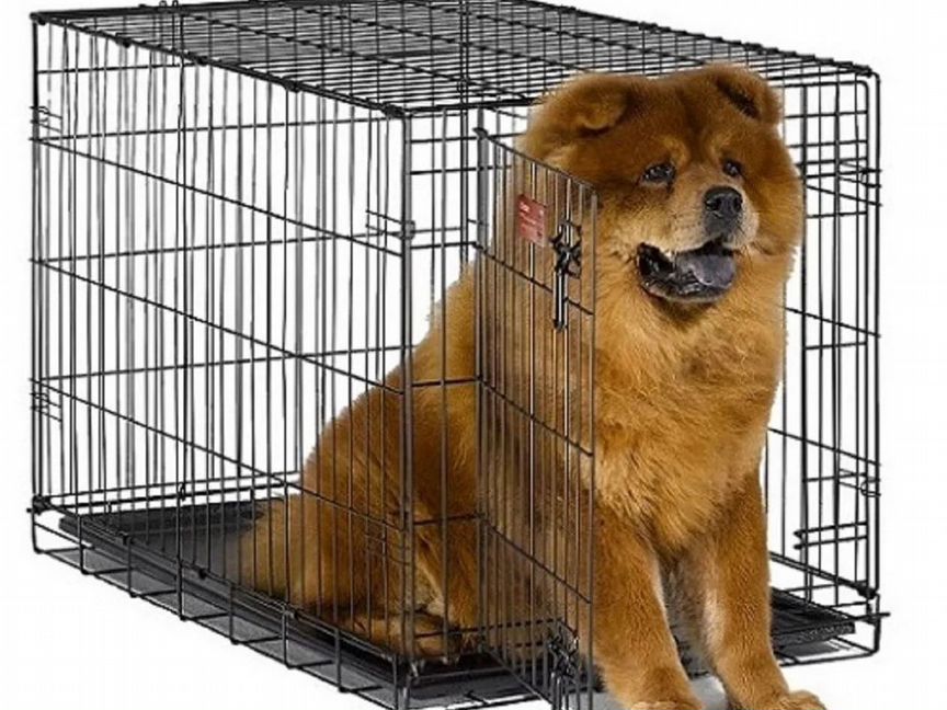 Клетка для собак, сдам в аренду