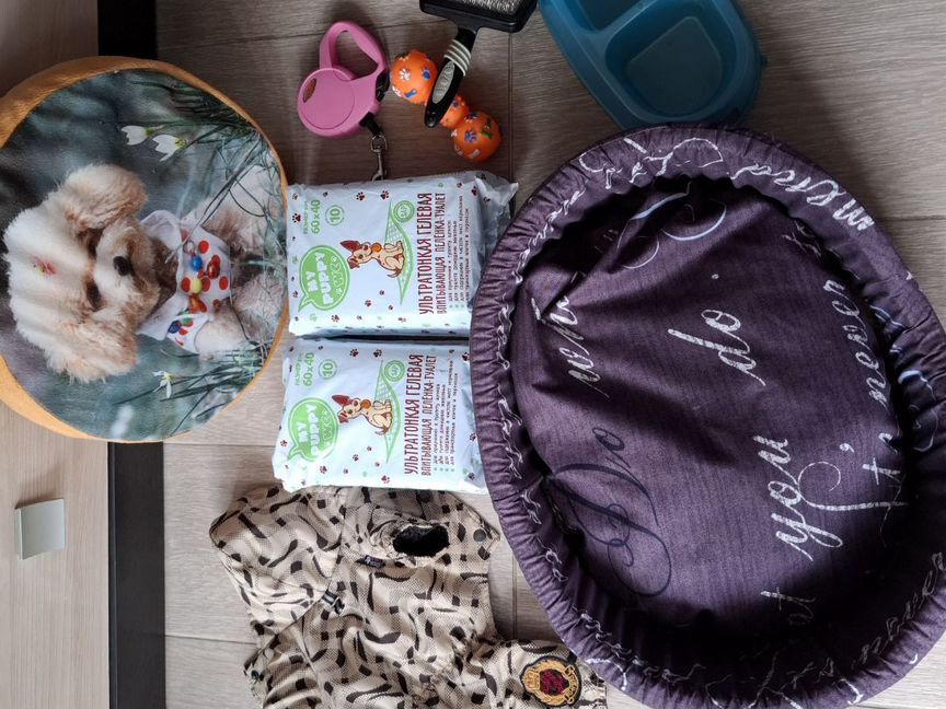 Лот для маленькой собачки