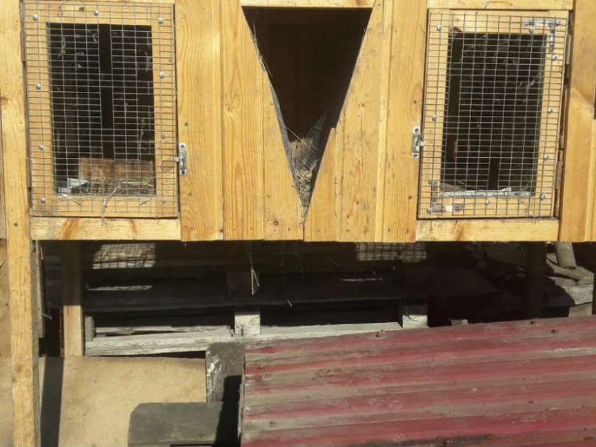 Крольчатник