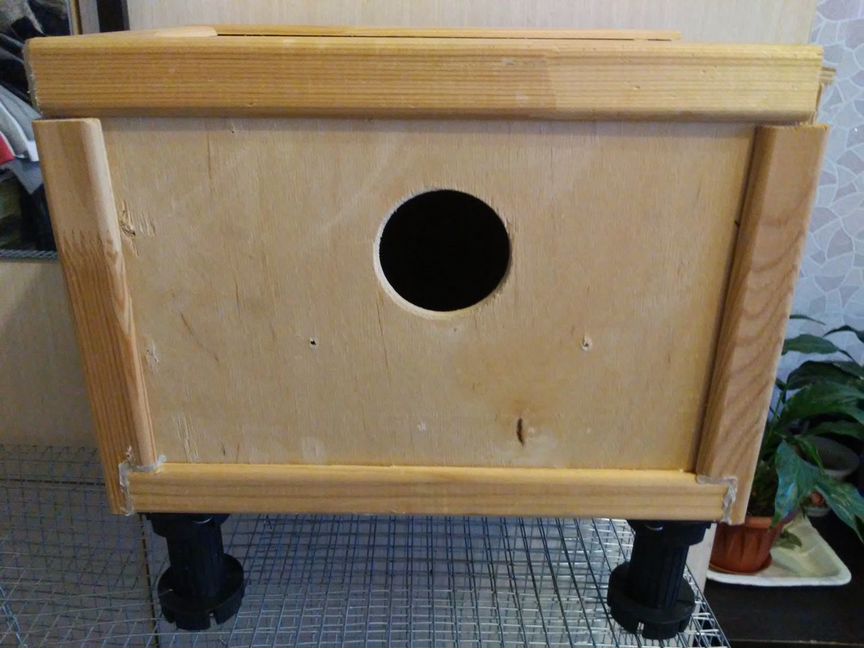 Скворечник для попугаев