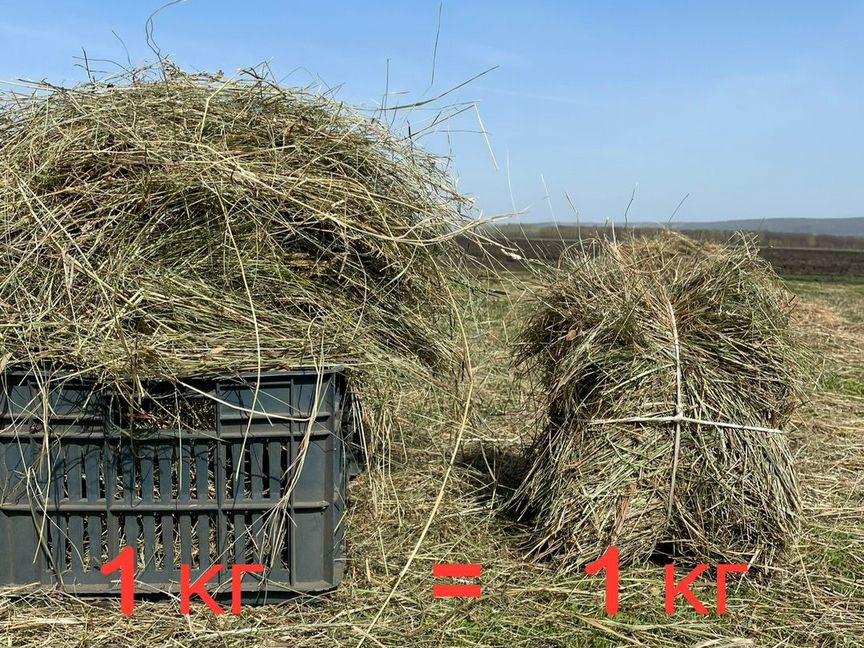 Сено в квадратных 1 кг тюках