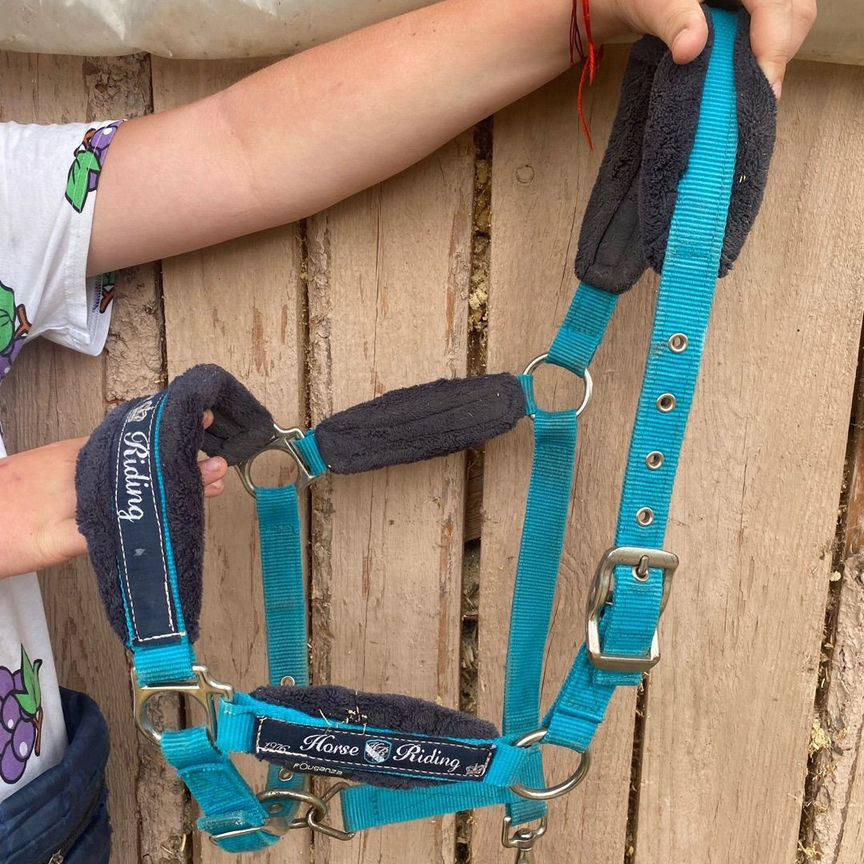 Недоуздок для лошади