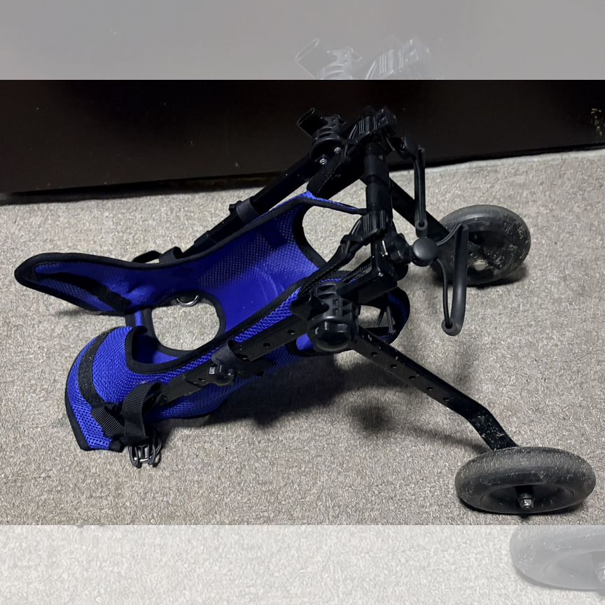 Коляска для собаки инвалидная