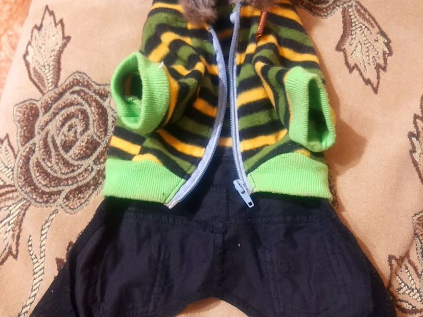 Одежда для маленьких собак