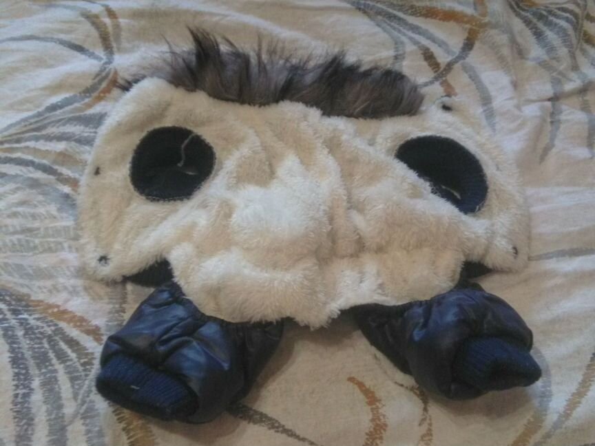 Вещи на мини той терьер