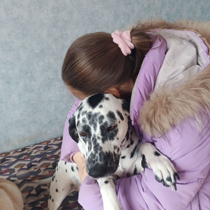 Невеста ищет жениха