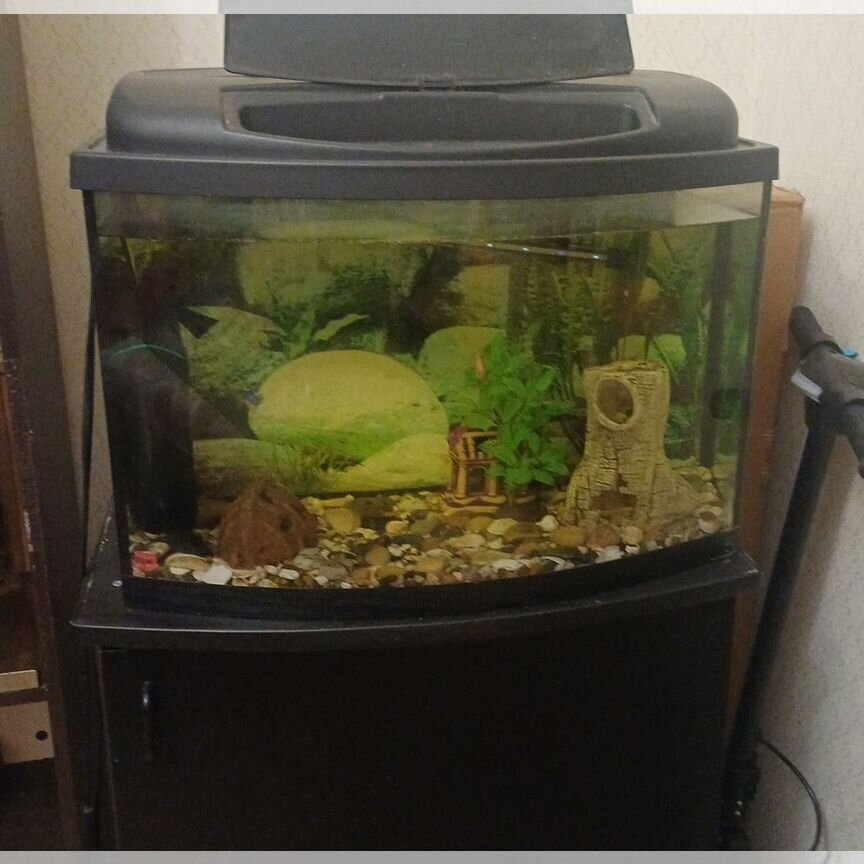Аквариум с рыбками, и тумбой, корм, фильтры