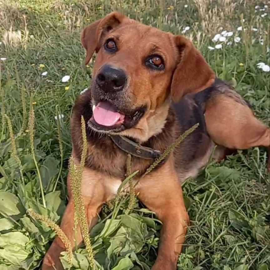 Есения в добрые ручки