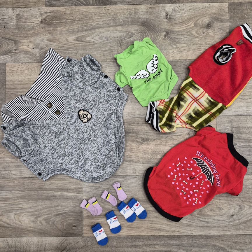 Одежда для собаки щенка