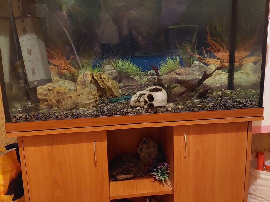 Аквариум с тумбой 230 литров