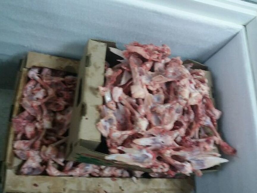 Корм для собак