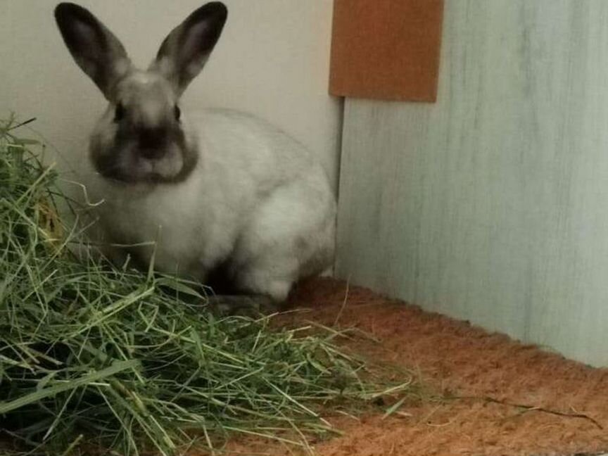 Сено ручной сборки