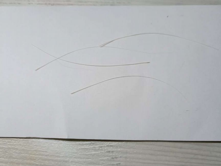 Кошачьи усы