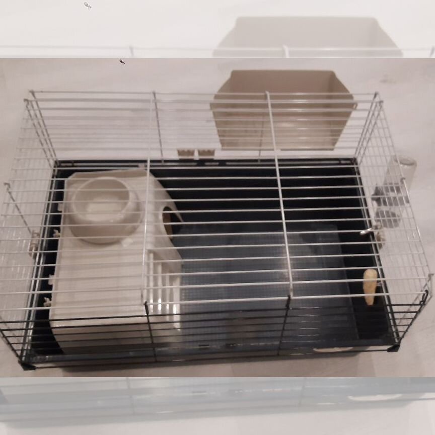 Клетка для грызунов большая, бу, 70х48х37