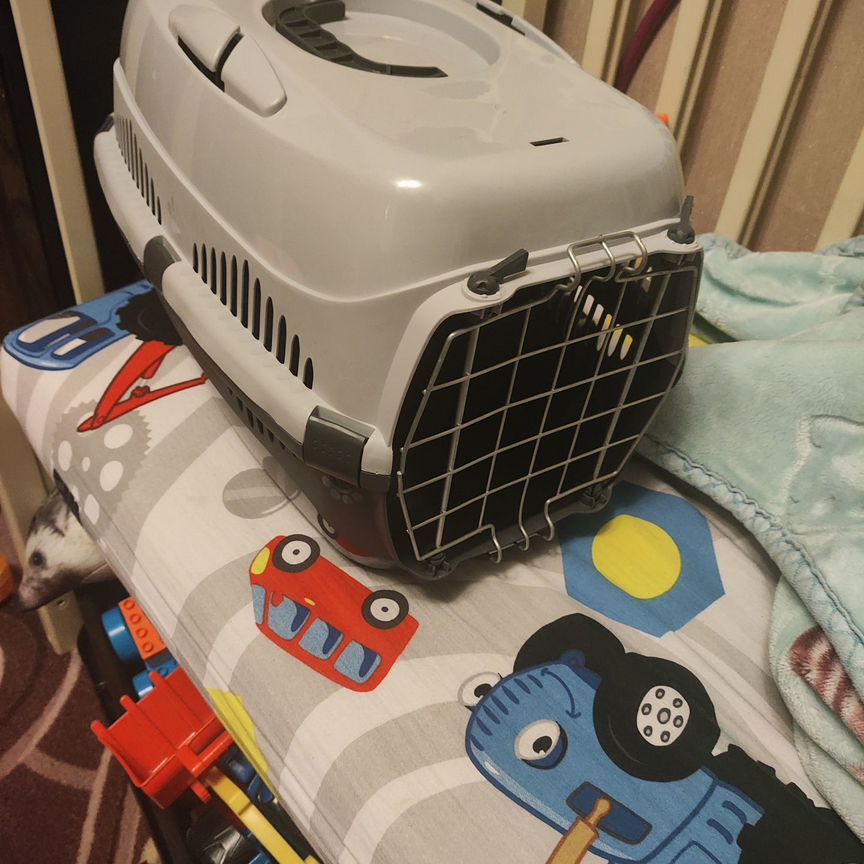 Переноска для котят