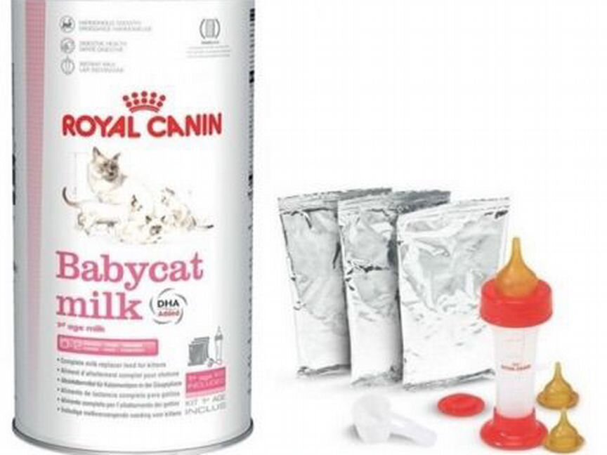Молочная смесь для котят royal canin