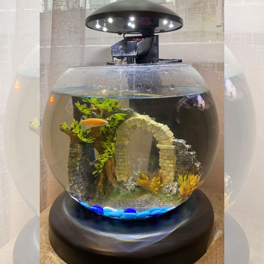 Аквариум круглый с подсветкой