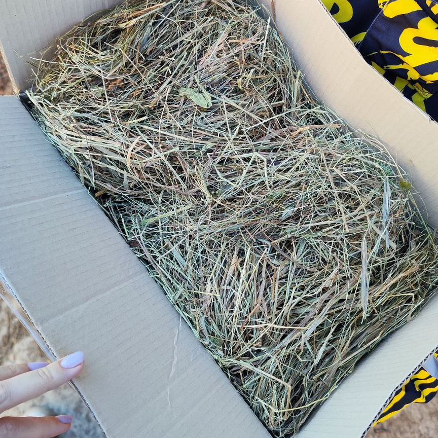 Сено в коробке