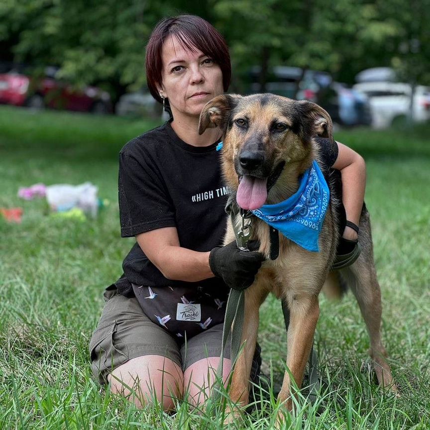Рэм, приютский пес в заботливые руки