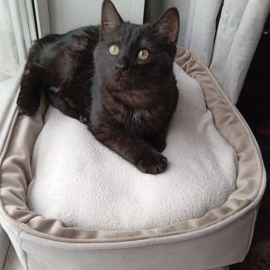 Ребенку нужны родители