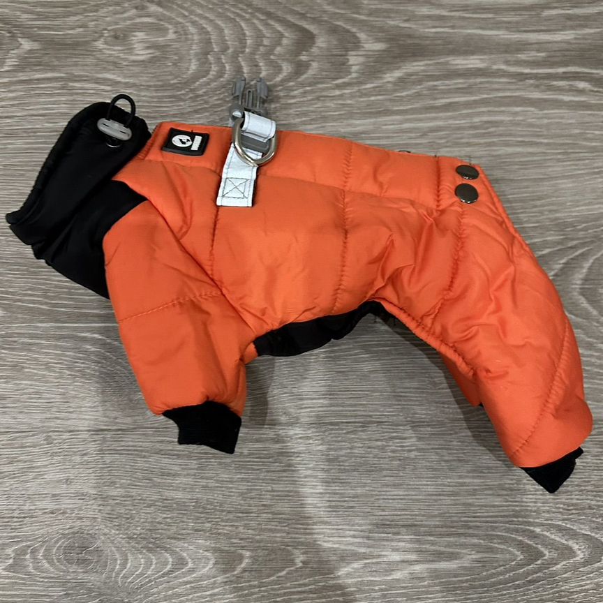 Одежда для маленьких собак