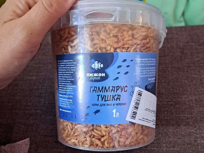 Гаммарус 1л. Пижон