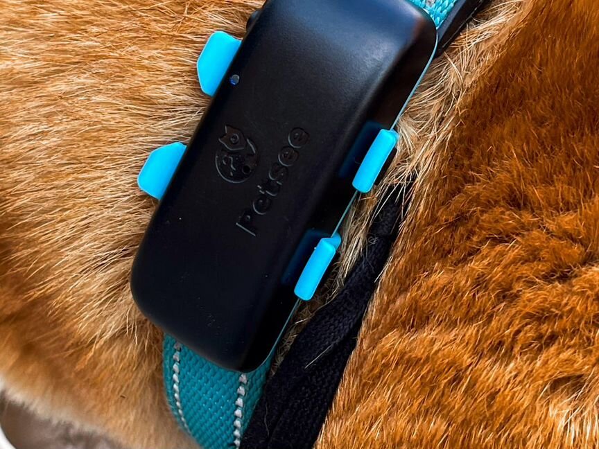 GPS трекер на собак