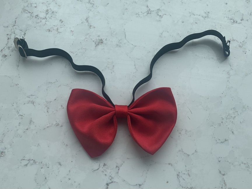 Бабочка для собаки