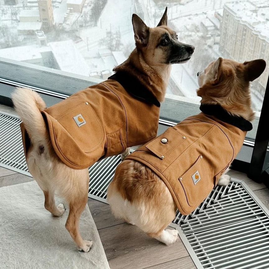 Куртка для собак Carhartt Chore Coat