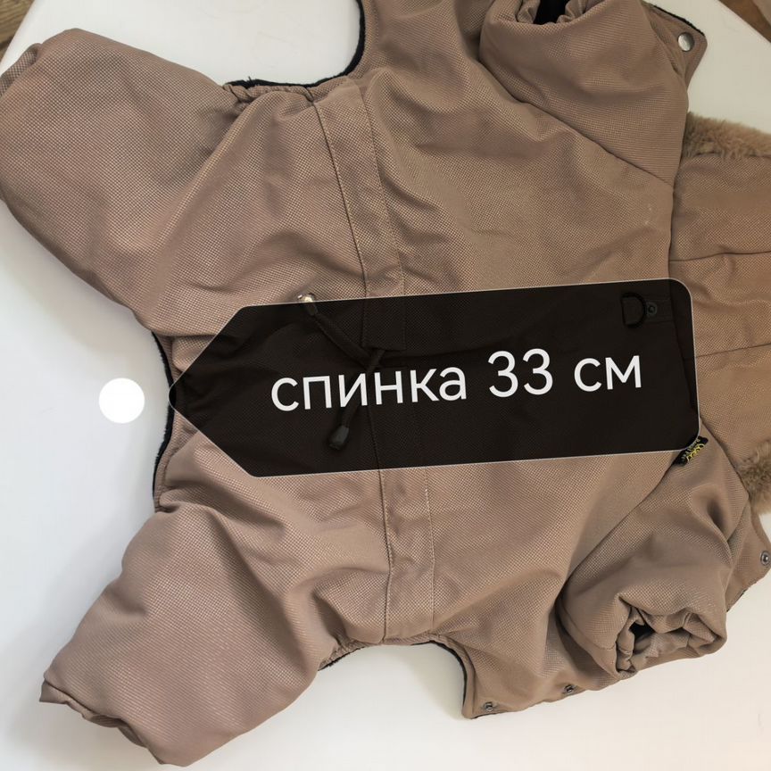 Одежда для собак