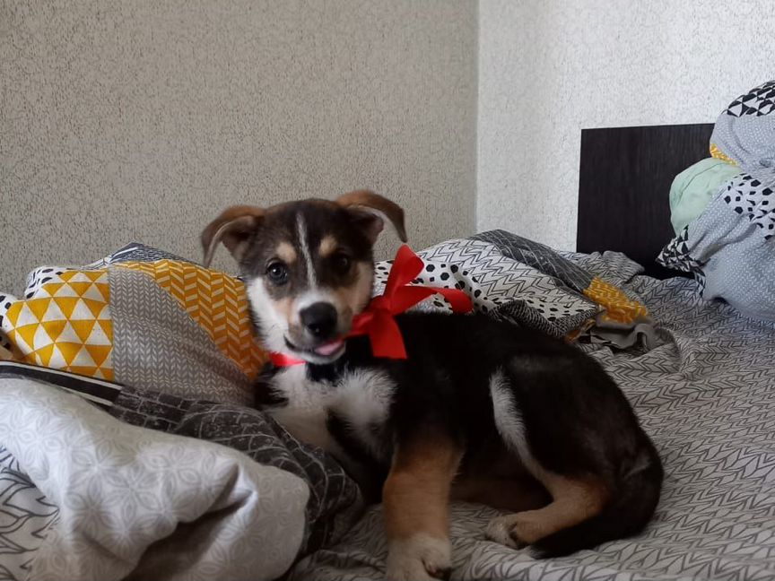 Меня ждёт улица уже завтра