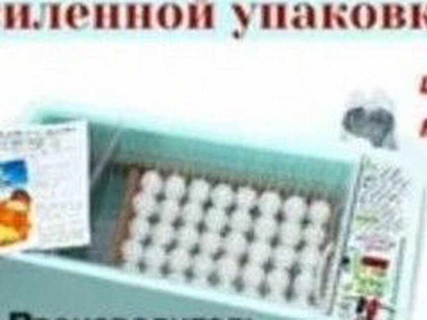 Инкубатор автоматический