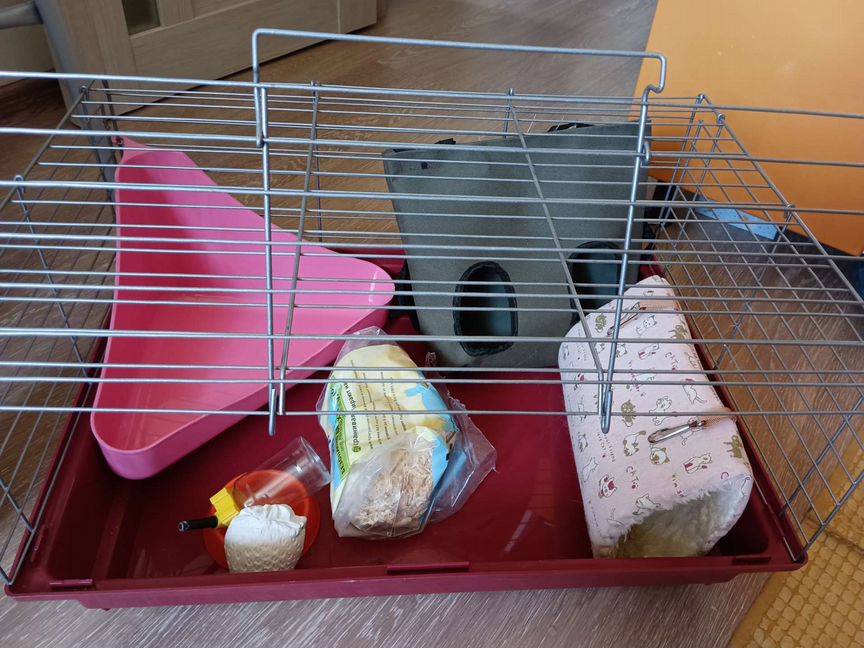 Клетка с содержимым